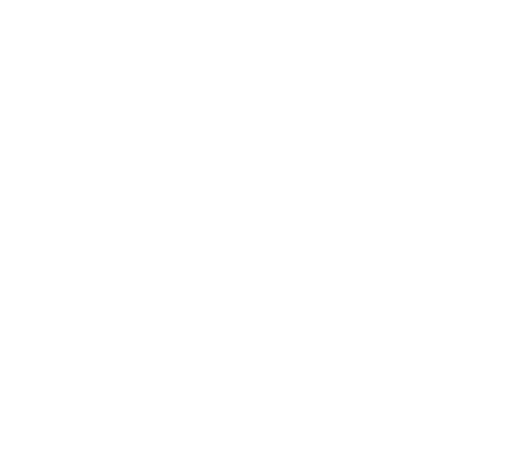 Team Redline - Verstappen.com Racing