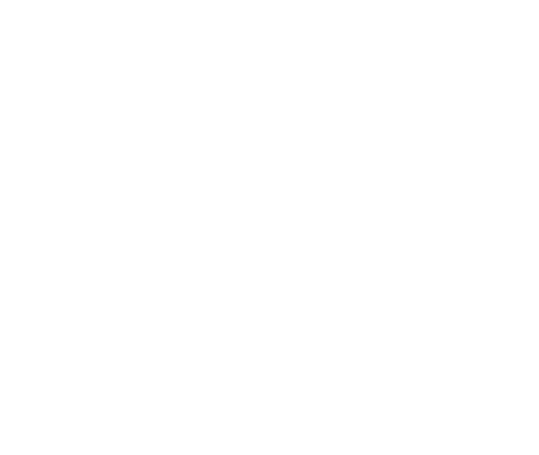 Team Redline - Verstappen.com Racing